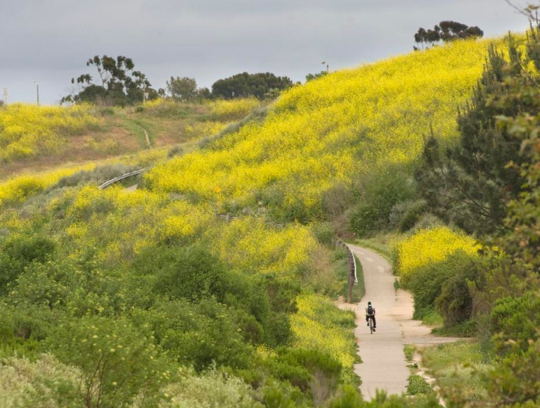 About Fairview Park in Costa Mesa, CA - Dentistry At Its Finest ...